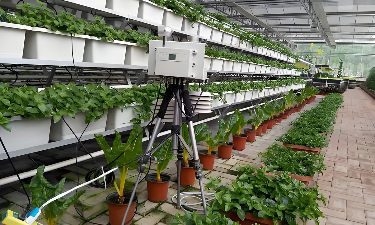 Boosting Accuracy In Autonomous Farming With Tof Sensors Tofsensors